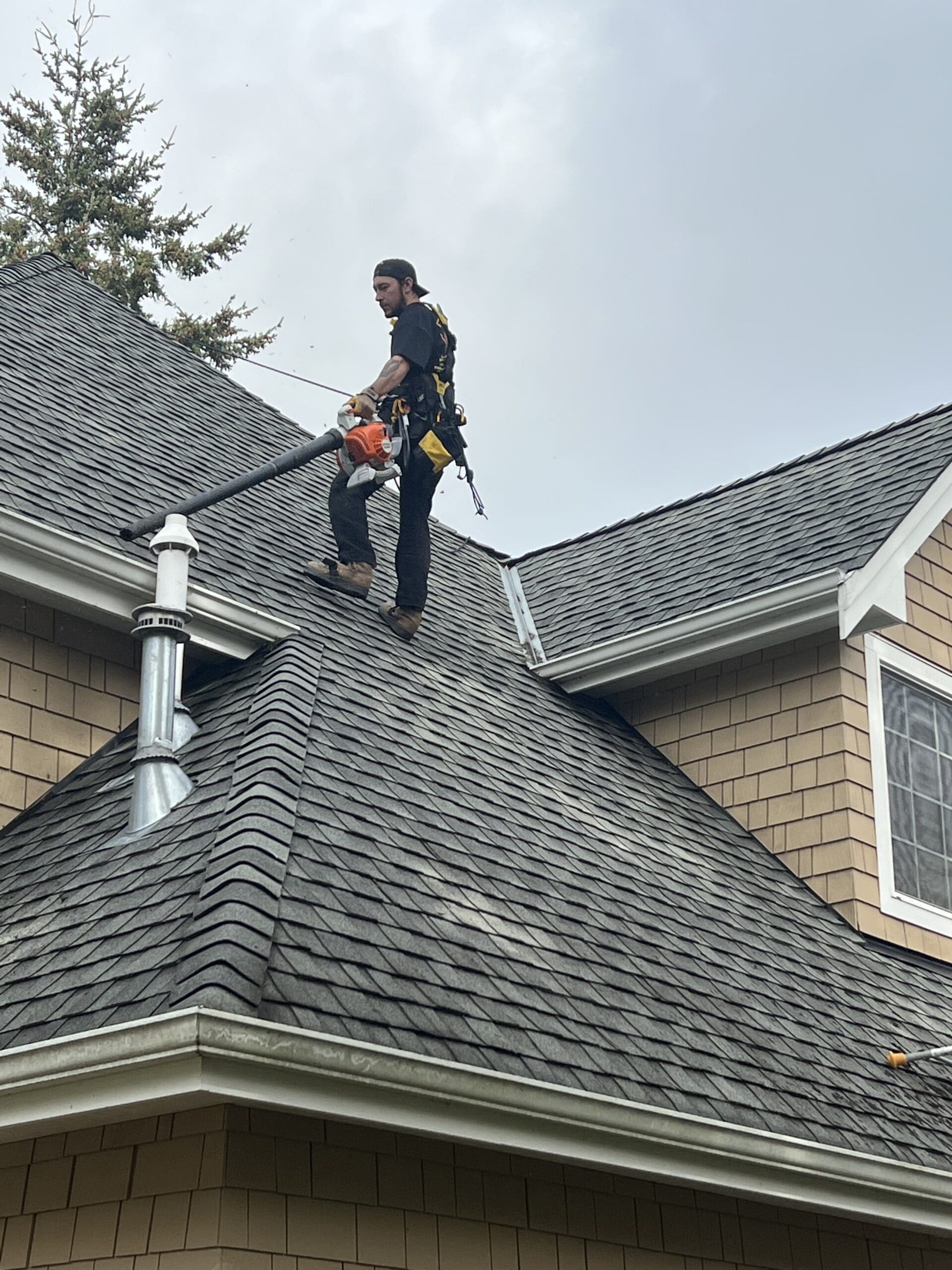 Roof Cleaning in Guemes Island - Captain Clean Pro Wash